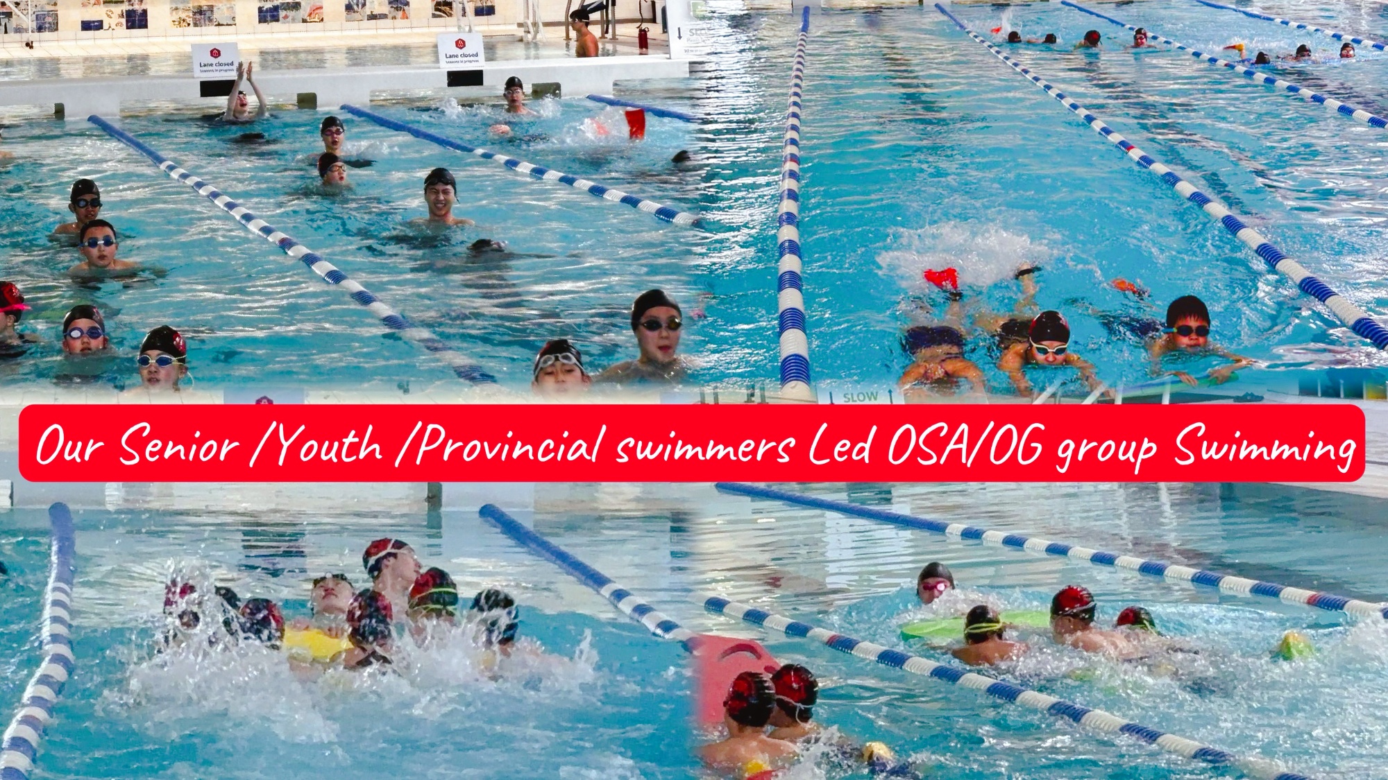 West Vancouver Otters Swim Club Home