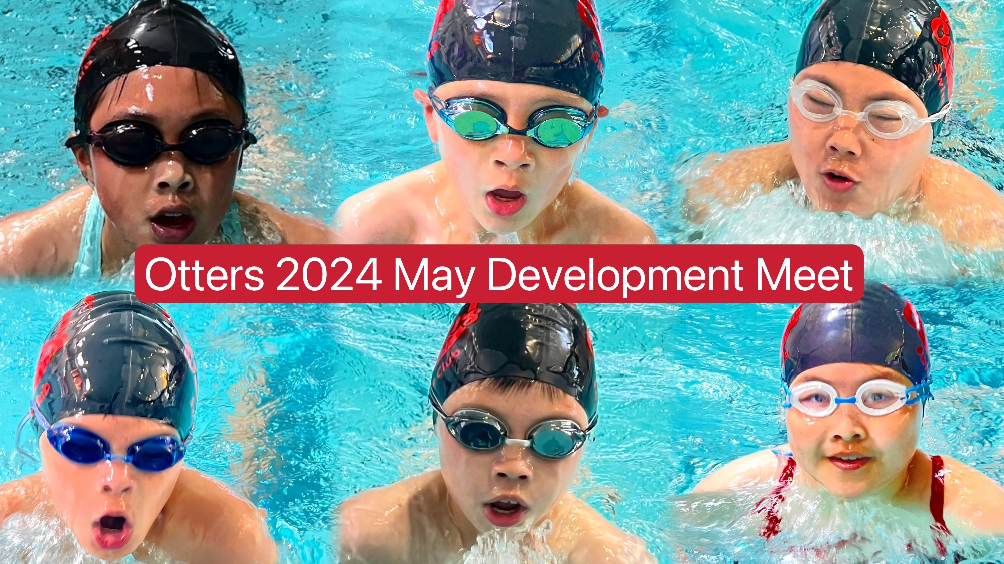 West Vancouver Otters Swim Club Home